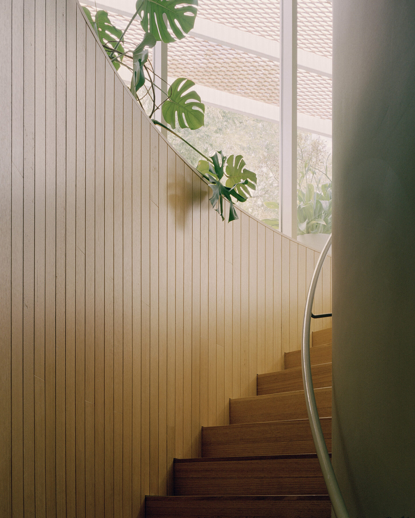 Studio Bright | 2022 Houses Awards - Autumn House